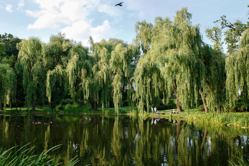 Orunia. Prelekcje z Lokalnymi Przewodnikami i Przewodniczkami